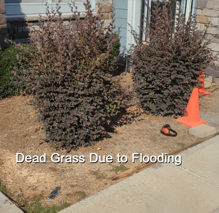 #3-Water In Planter Area - Drain Designs
